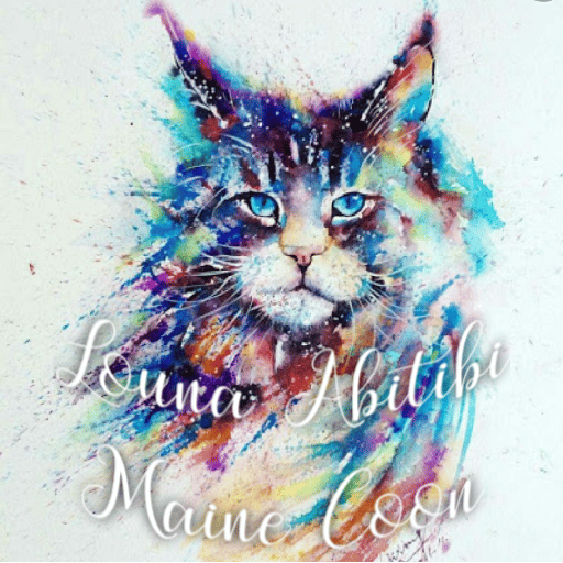 Complete Guide to Breeding Pedigree Cats – Cat Breeder Sensei
