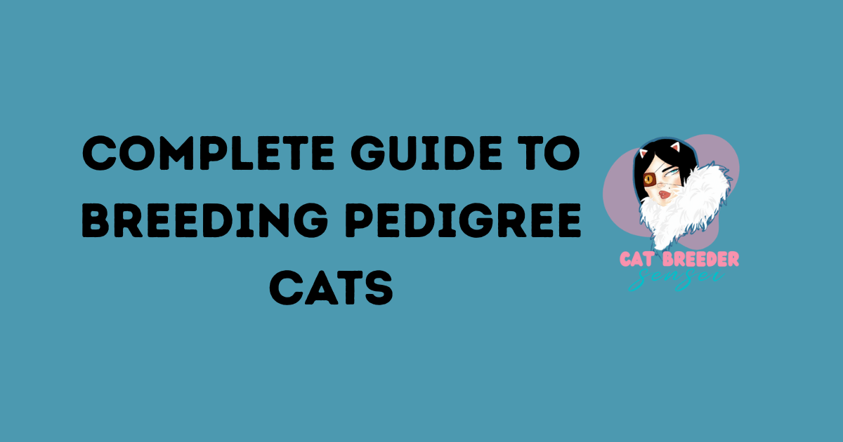 Complete Guide to Breeding Pedigree Cats
