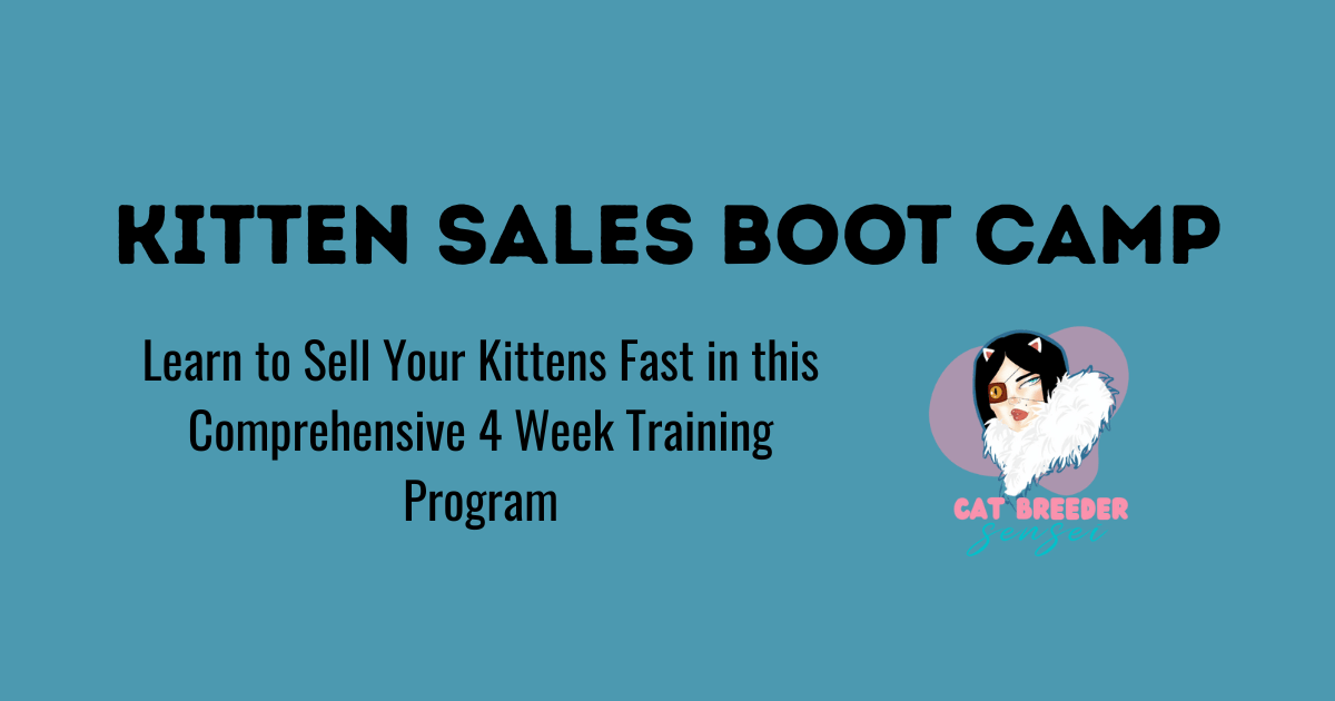 Kitten Sales Boot Camp - Cat Breeder Sensei